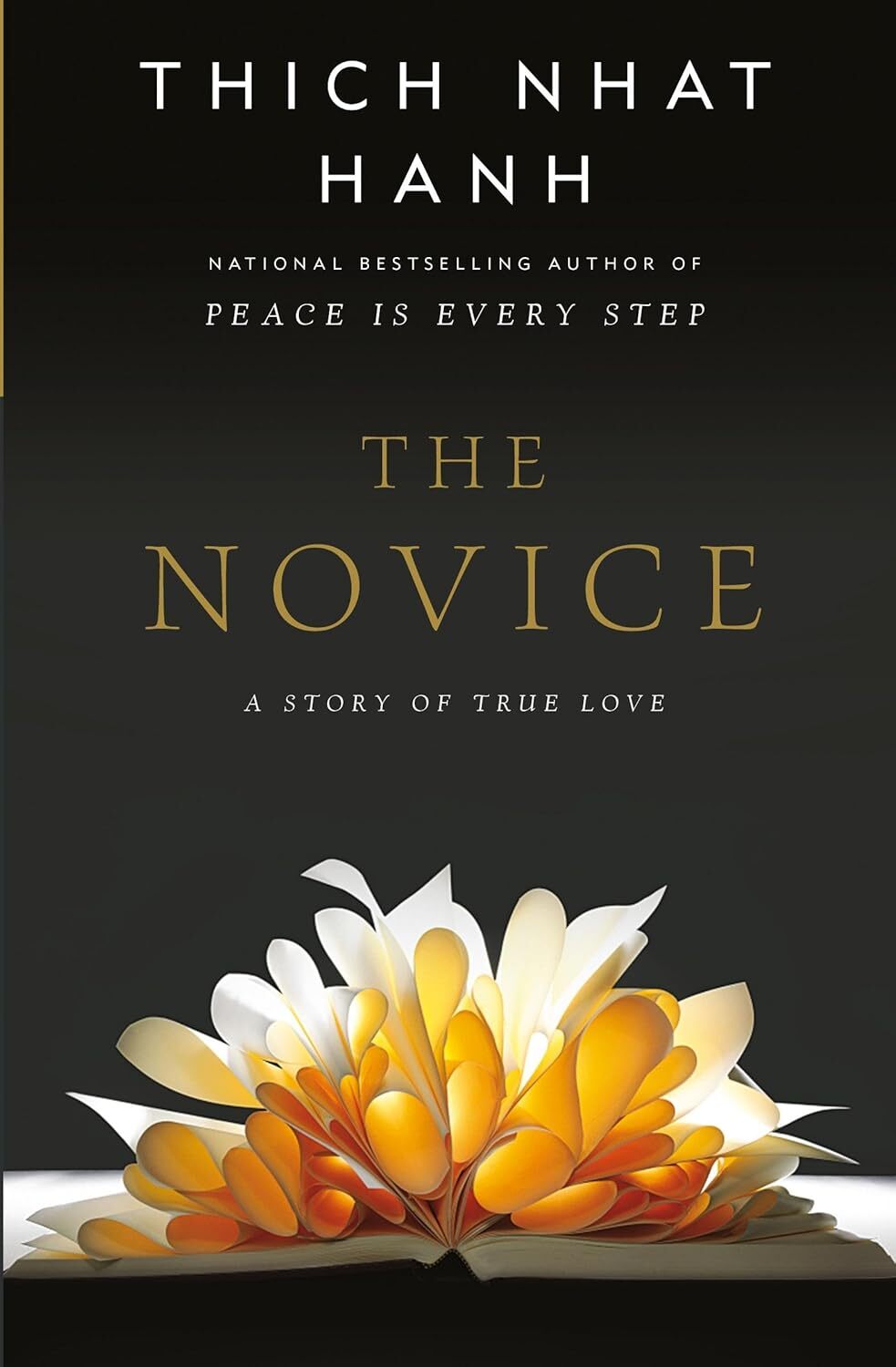 The Novice - Thich Nhat Hanh