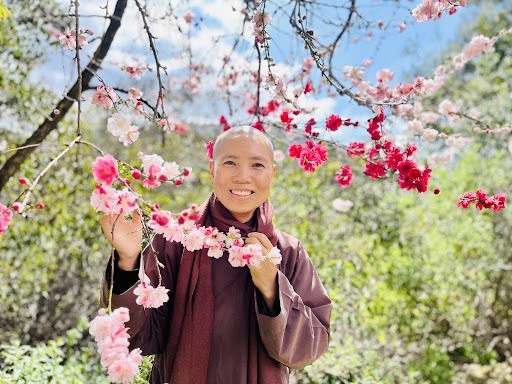 Deer Park Monastery | Sister Huệ Tri