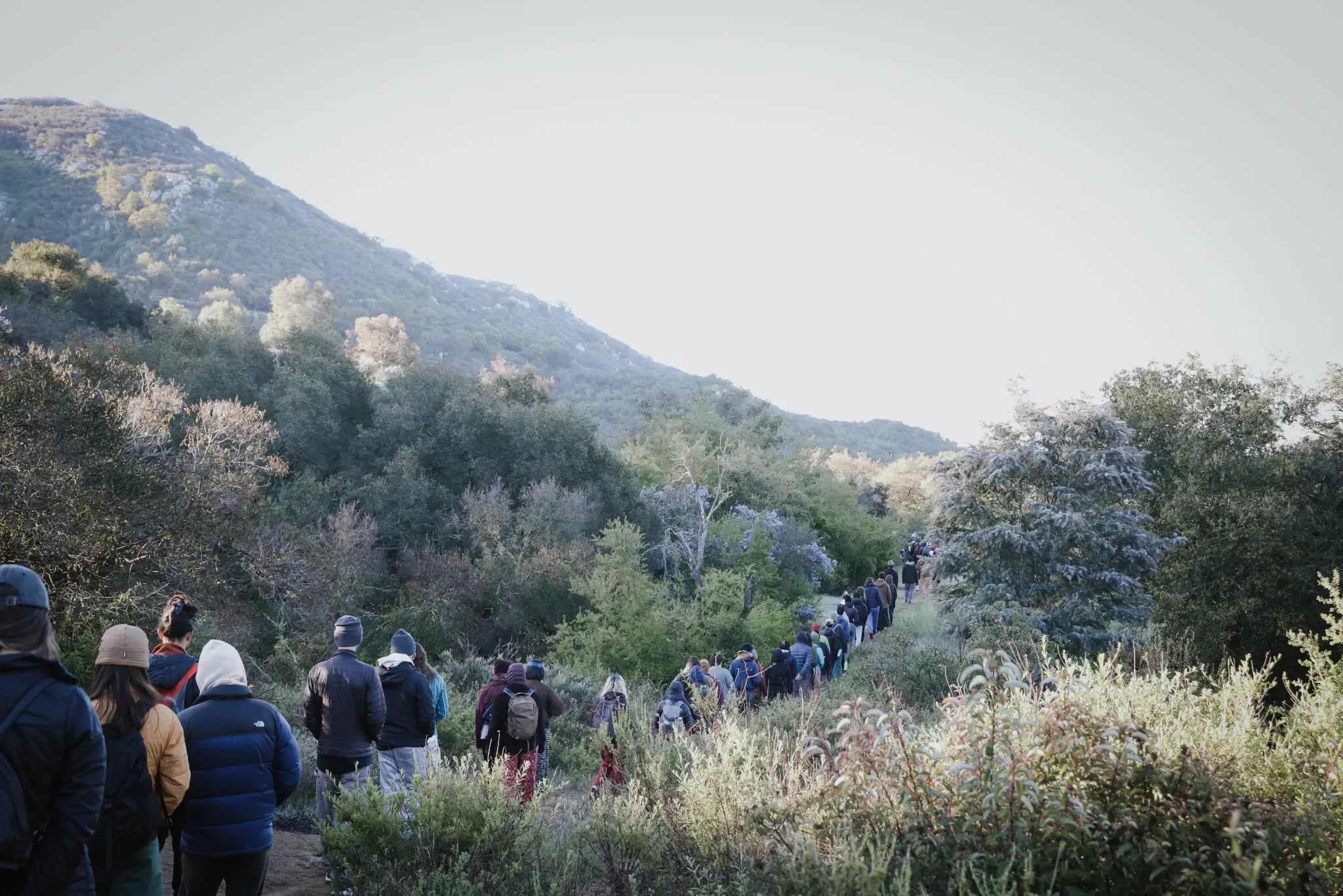 Wake Up Community - Deer Park Monastery